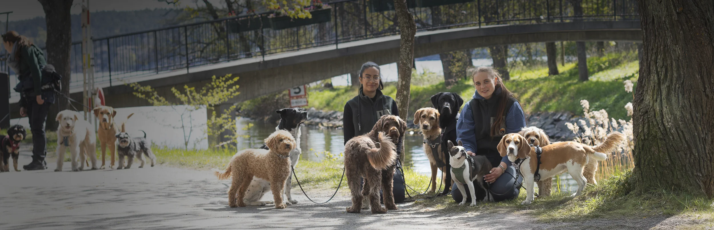 En dag på dagis - Dog Planet